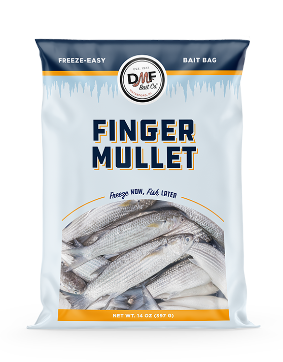 Finger Mullet - DMF Bait
